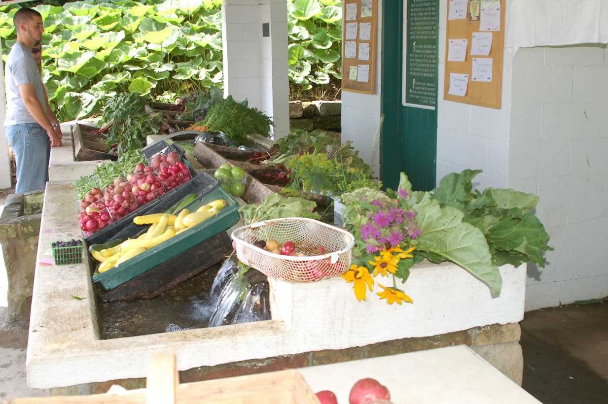 Malabar Farm sustains lifelong dream of Louis Bromfield – Dusty Tires