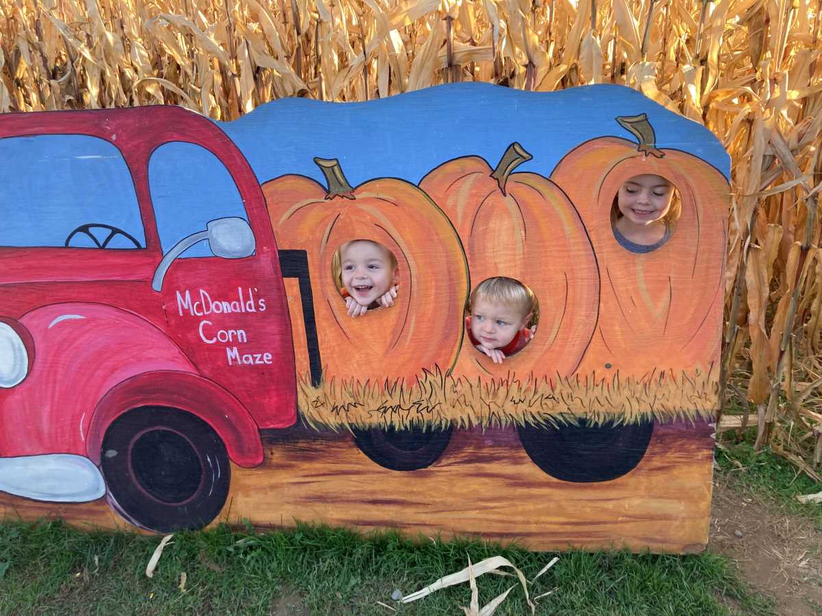 Pumpkin patches, fruit farms are open for fall family fun – Dusty Tires