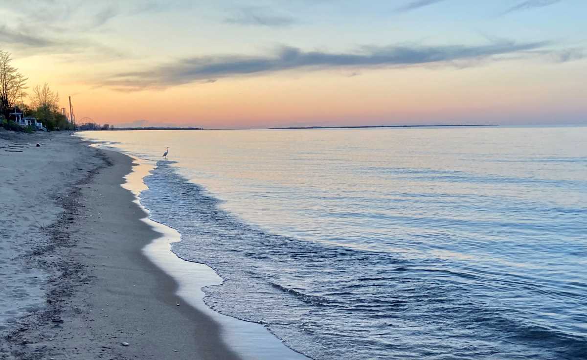 Public beaches – Dusty Tires